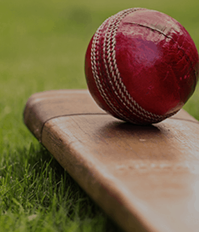 Cricket Australia Shop Online | Meulemans Cricket Centre