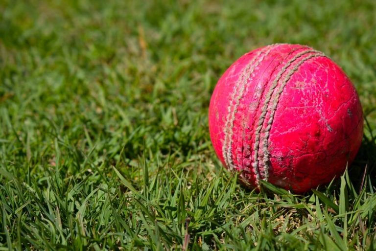 Cricket Ball Types And How You Use Them – Meulemans Cricket Centre