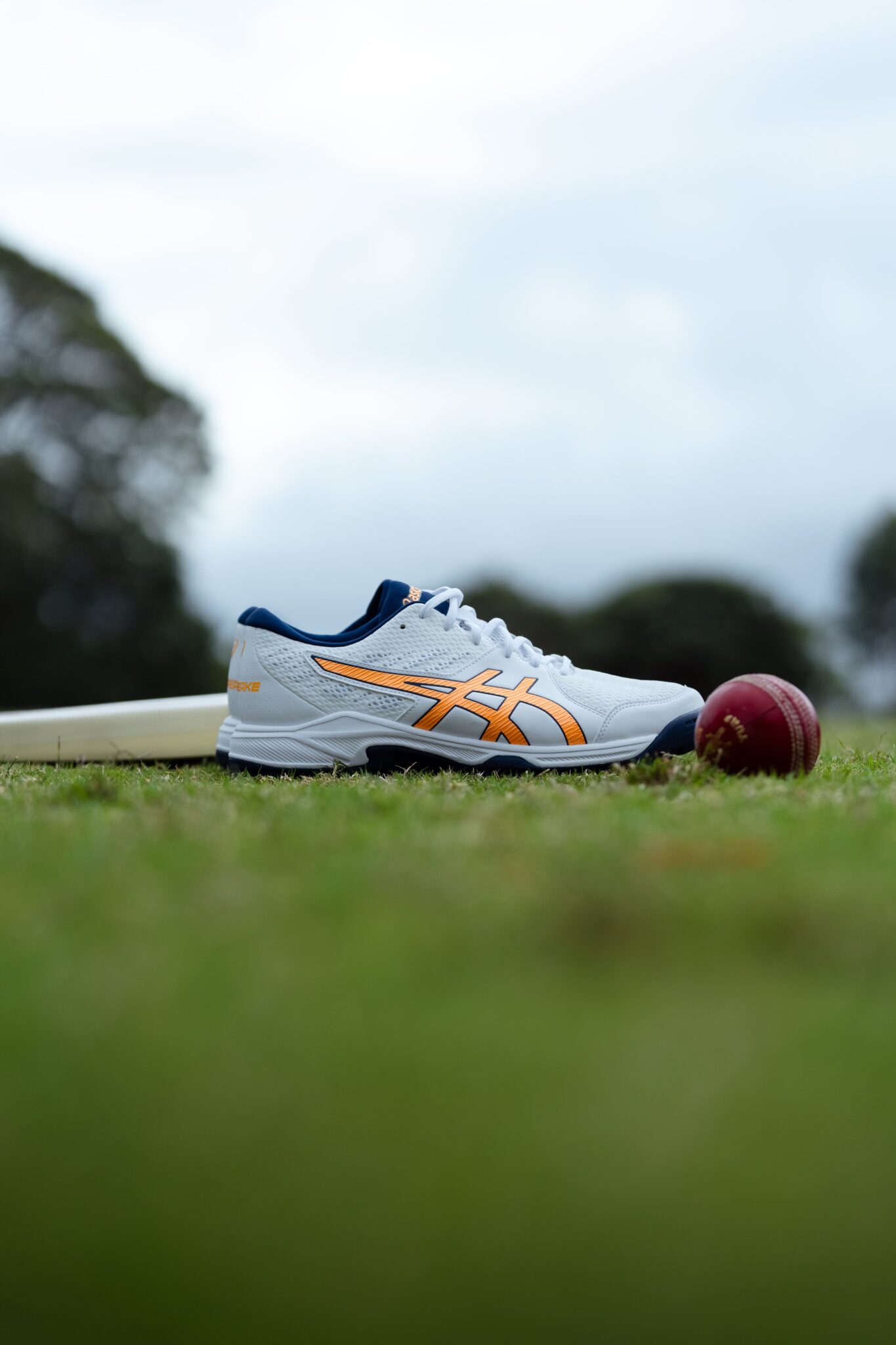 Meulemans Cricket Centre